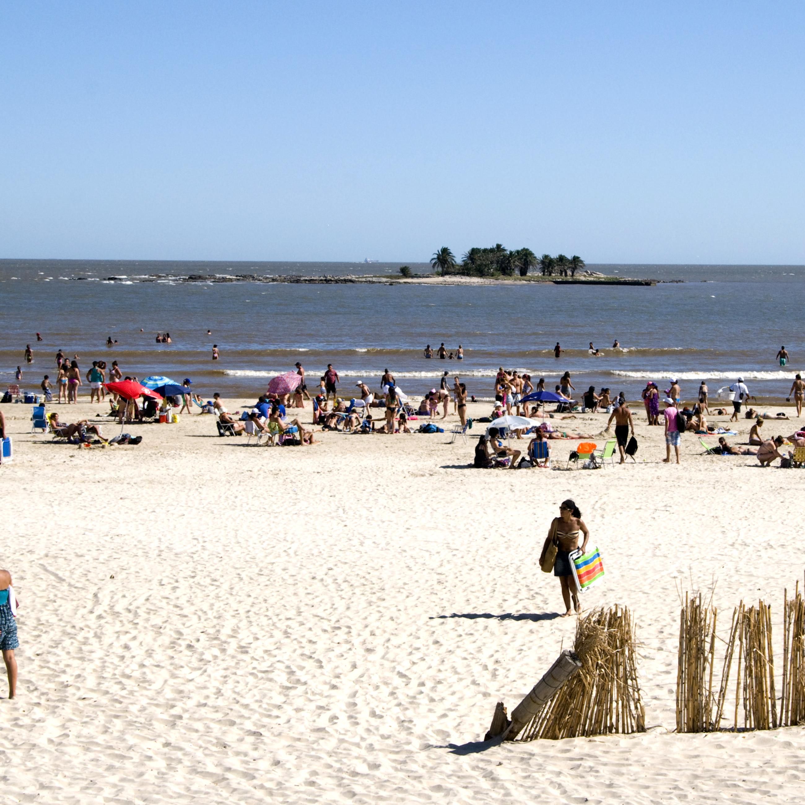 si trataste agua de la playa también te trataste la mierda de alguna vieja kjjj | Devox